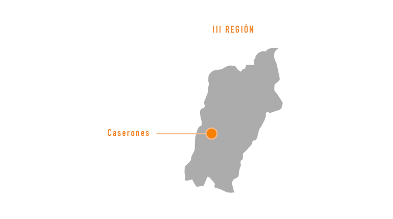 Minera Caserones – ACENOR